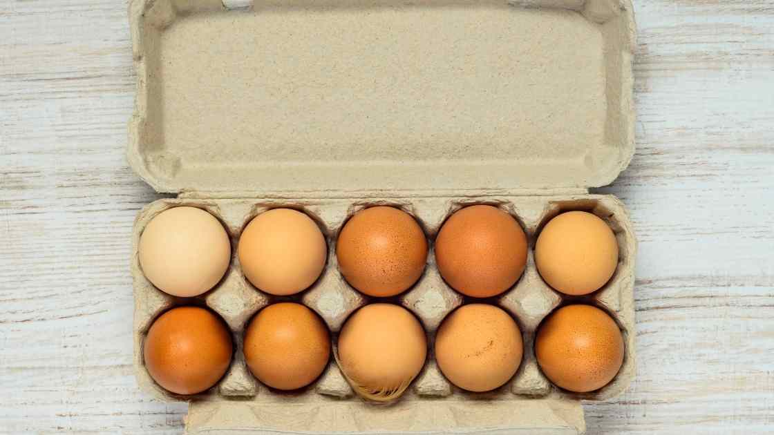 Interesting facts: How long can eggs sit out?